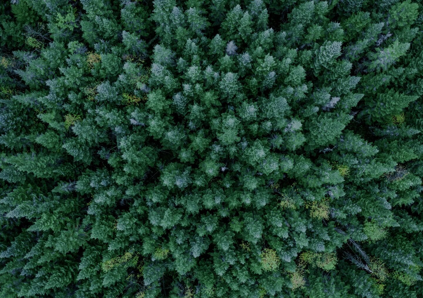 Greenhouse Gases - AET98