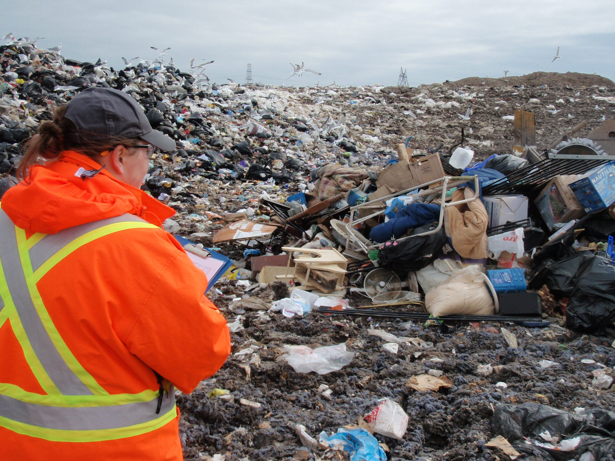 Waste Management Facility Waste Composition Study - AET98